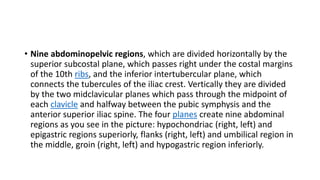 Anterior abdominal wall , Rectus sheath and Inguinal.pptx