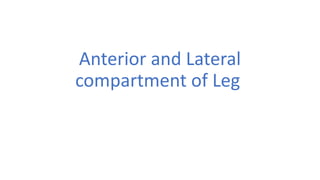 Anterior and Lateral compartment of Leg.pptx