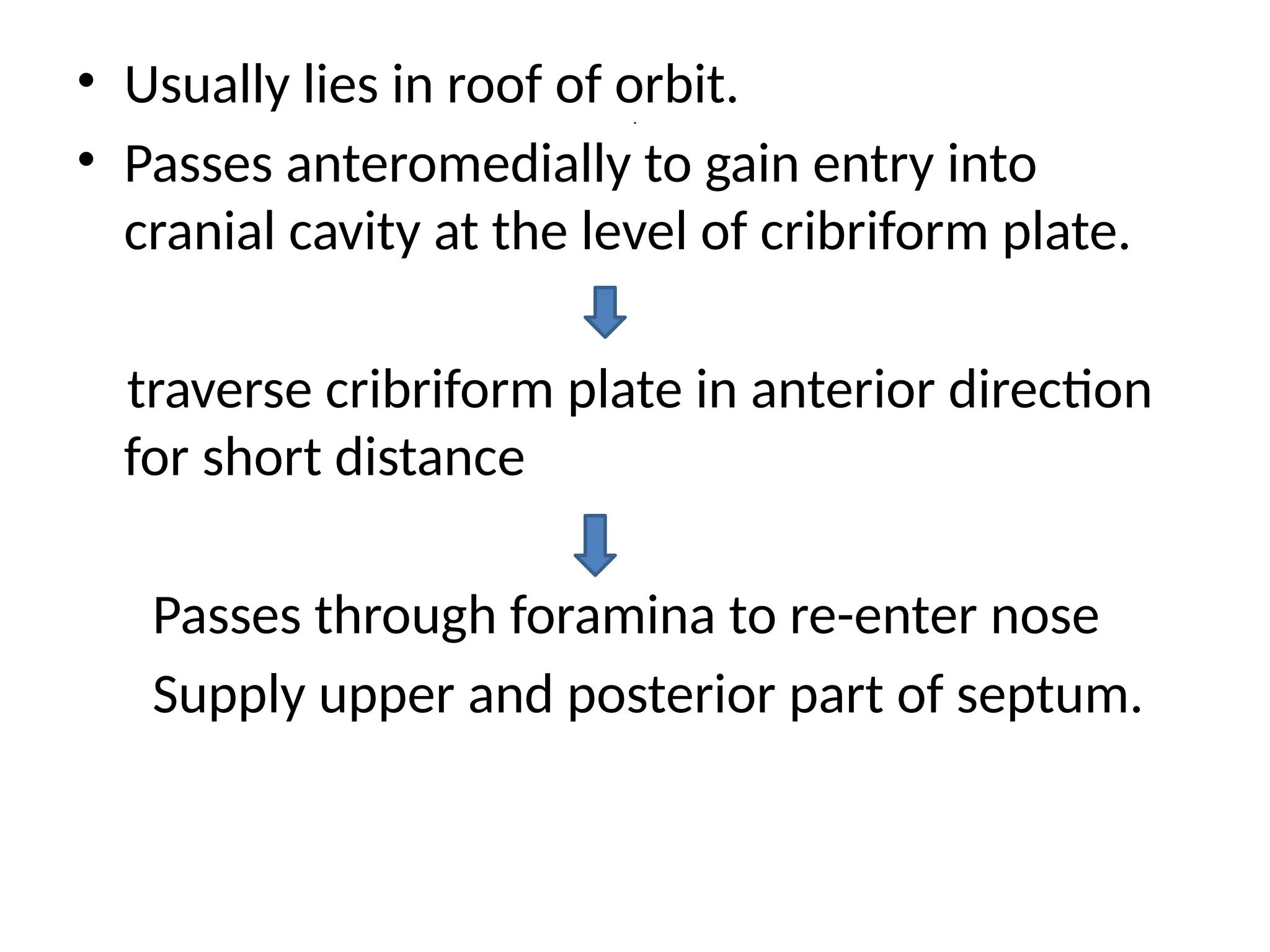 ANTERIOR AND POSTERIOR ETHMOID ARTERIES.pptx