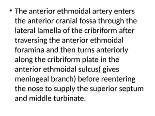 ANTERIOR AND POSTERIOR ETHMOID ARTERIES.pptx