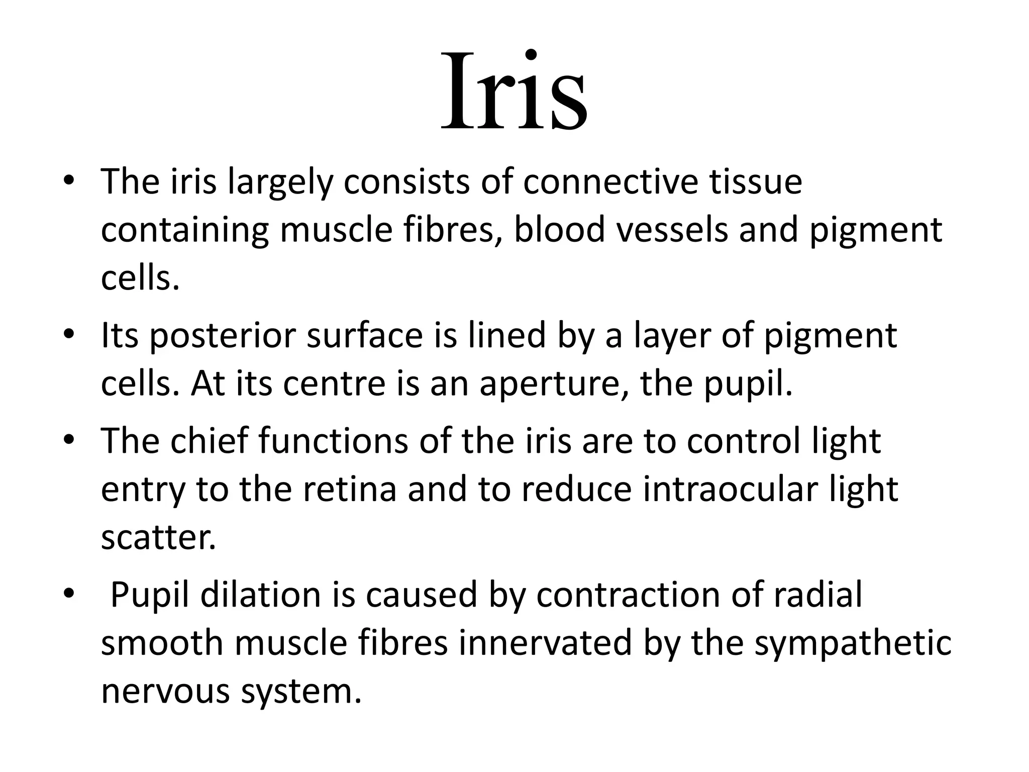 Anterior and posterior segment of eye | PPTX