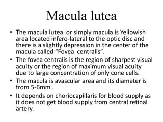 Anterior and posterior segment of eye | PPTX
