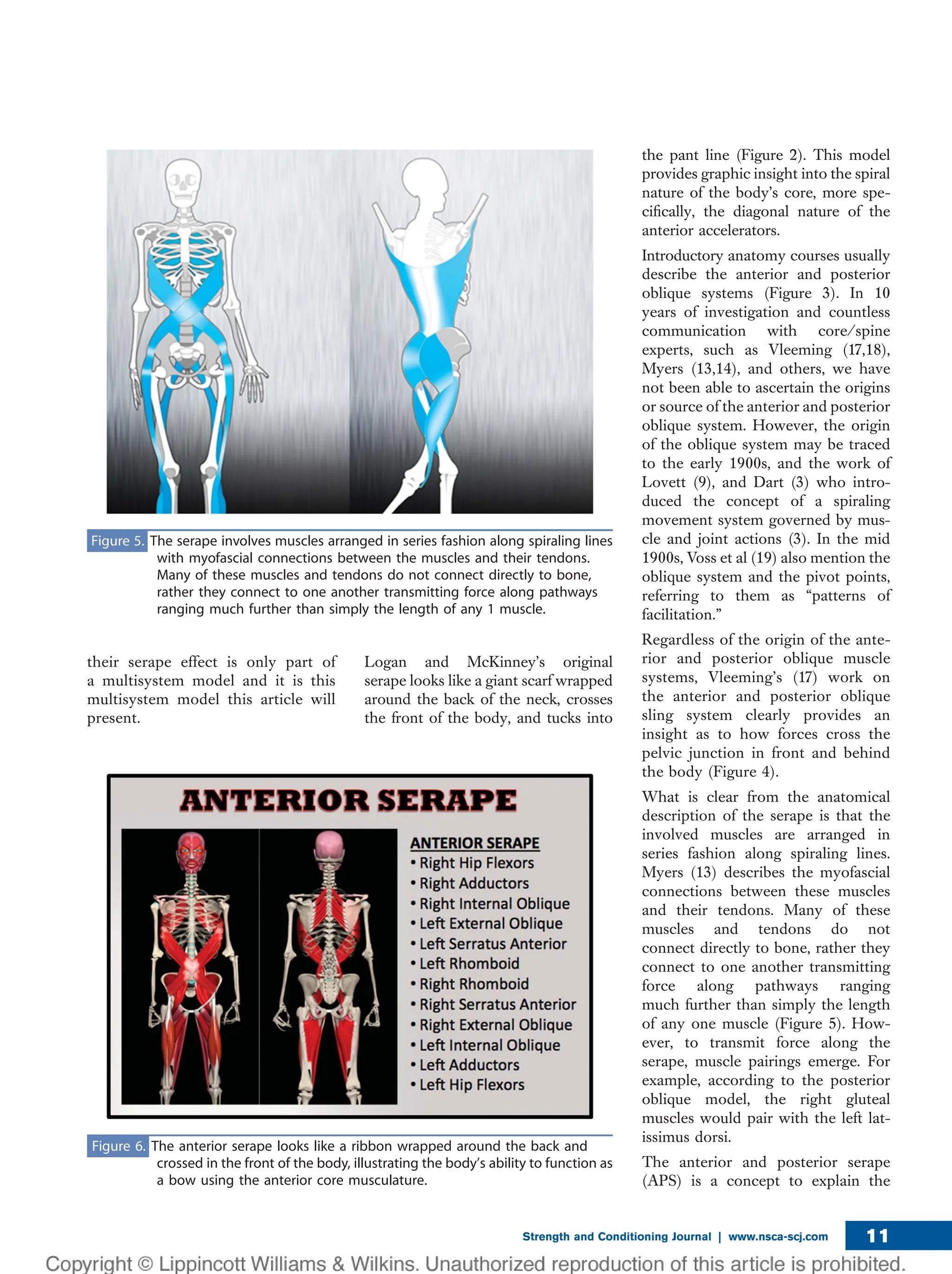Anterior_and_Posterior_Serape___The_Rotational.2.pdf