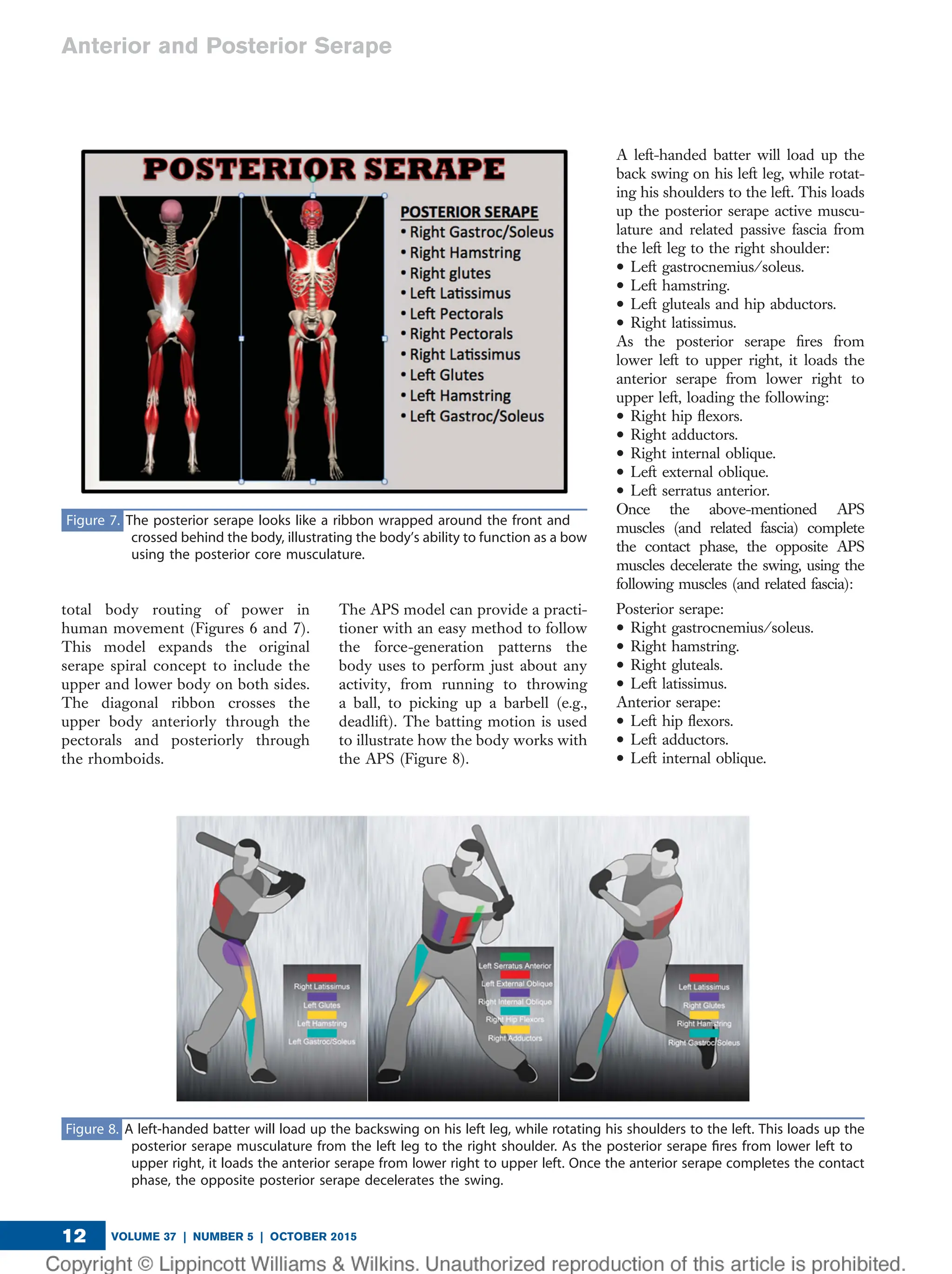 Anterior_and_Posterior_Serape___The_Rotational.2.pdf