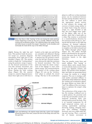 Anterior_and_Posterior_Serape___The_Rotational.2.pdf