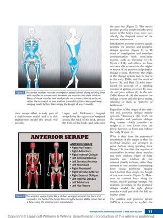 Anterior_and_Posterior_Serape___The_Rotational.2.pdf