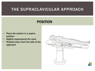 Anterior Approaches To The Thoracic Spine | PPTX