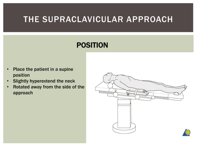 Anterior Approaches To The Thoracic Spine | PPT