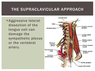 Anterior Approaches To The Thoracic Spine | PPTX
