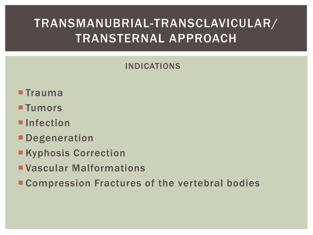 Anterior Approaches To The Thoracic Spine | PPT