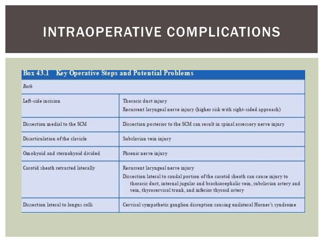 Anterior Approaches To The Thoracic Spine | PPT