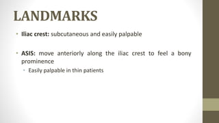 Anterior approach to the hip - Dr. Sachin M | PPTX