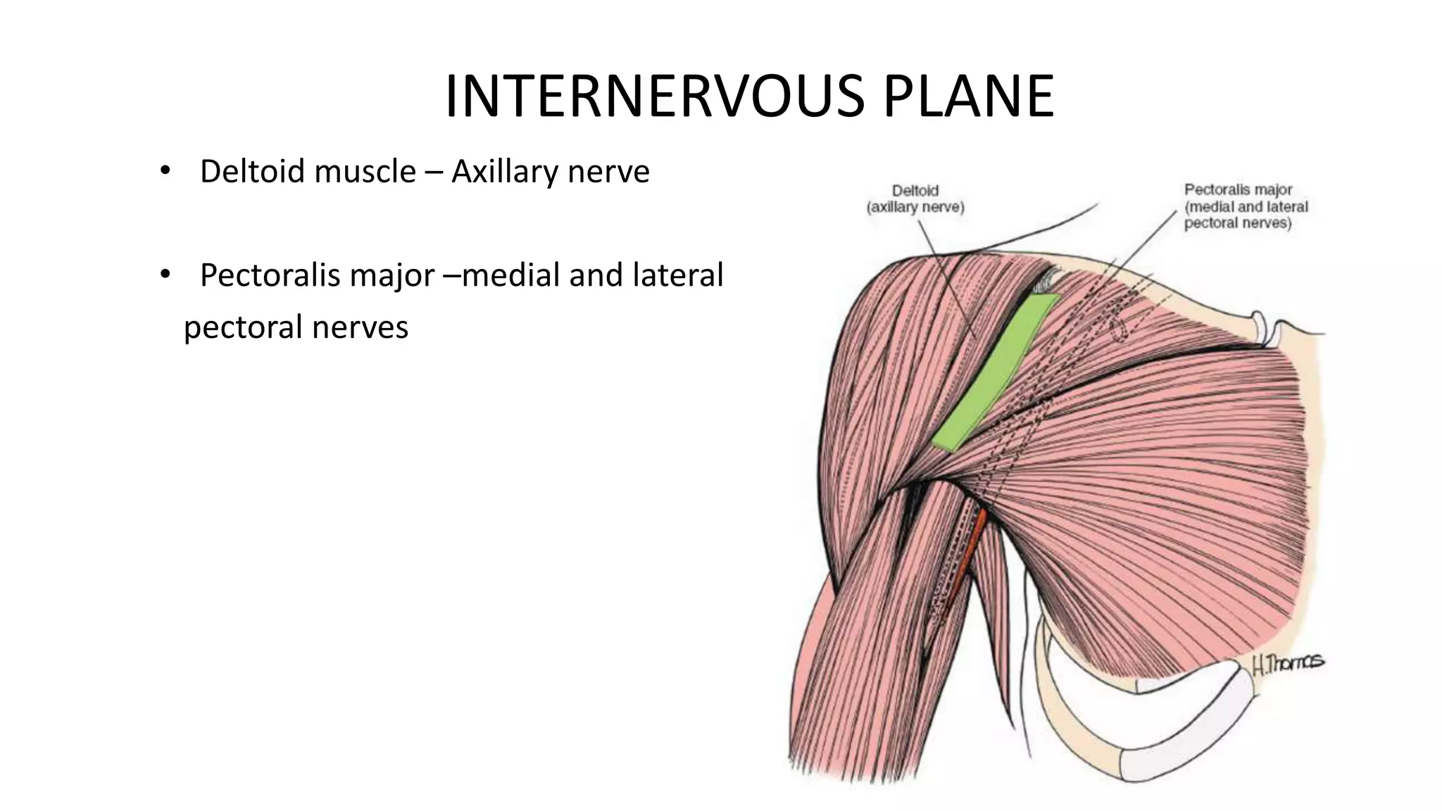 Anterior approach to shoulder | PPTX