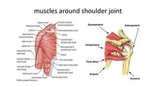 Anterior approach to shoulder | PPTX