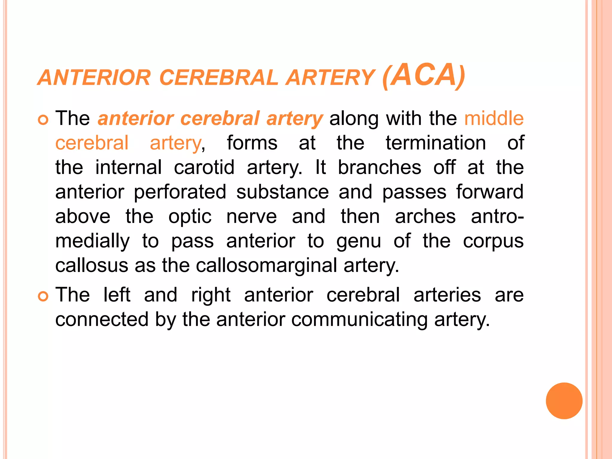 Anterior cerebral artery-ACA | PPTX | Brain and Nervous System ...