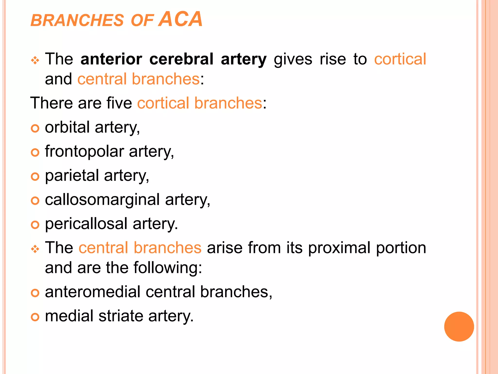 Anterior cerebral artery-ACA | PPTX