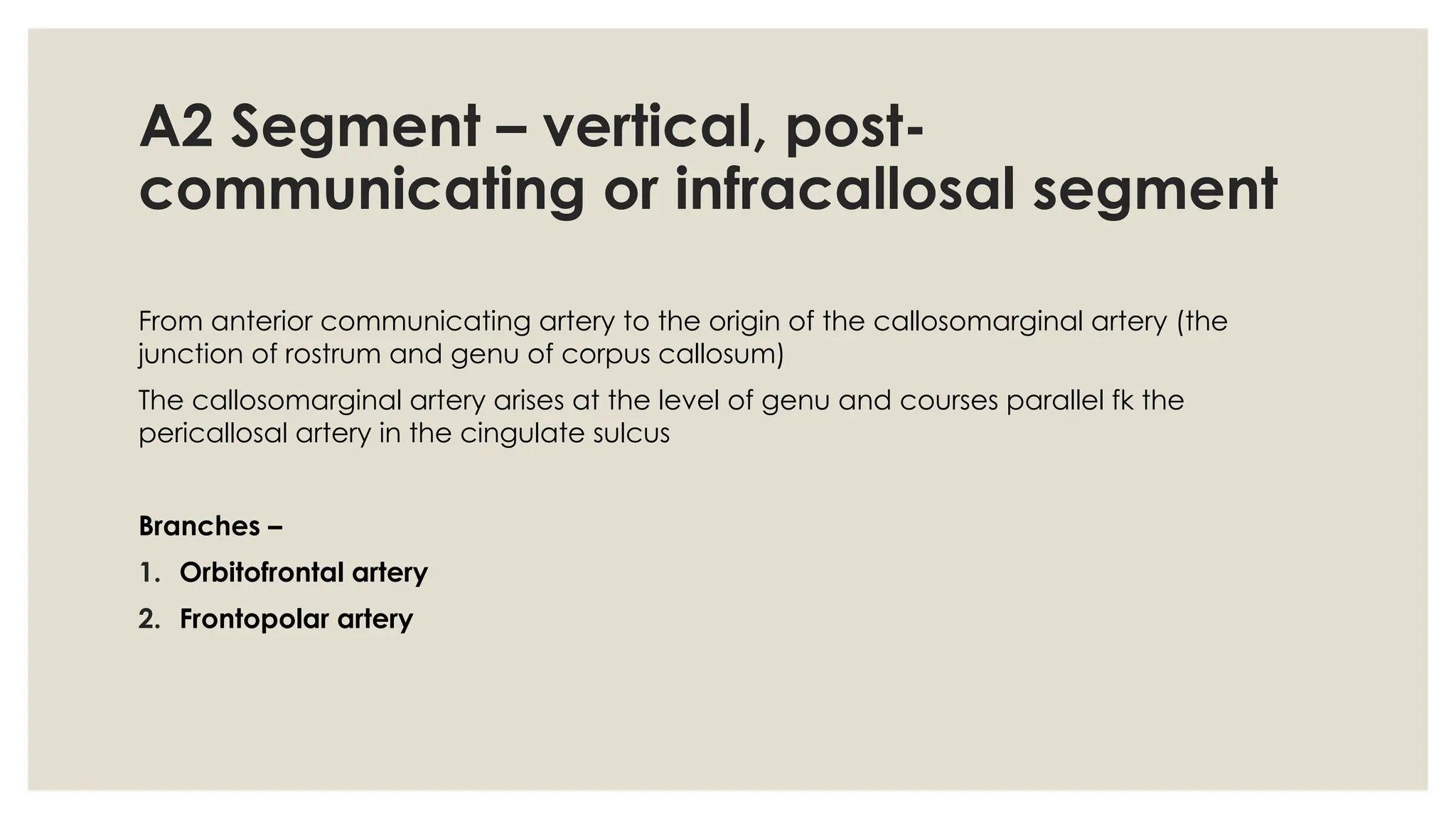 Anterior Cerebral Artery, anatomy, segments, pathologies, radiology | PPTX