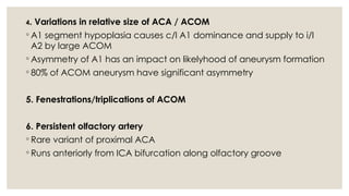 Anterior Cerebral Artery, anatomy, segments, pathologies, radiology | PPT