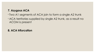 Anterior Cerebral Artery, anatomy, segments, pathologies, radiology | PPT