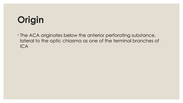 Anterior Cerebral Artery, anatomy, segments, pathologies, radiology | PPTX