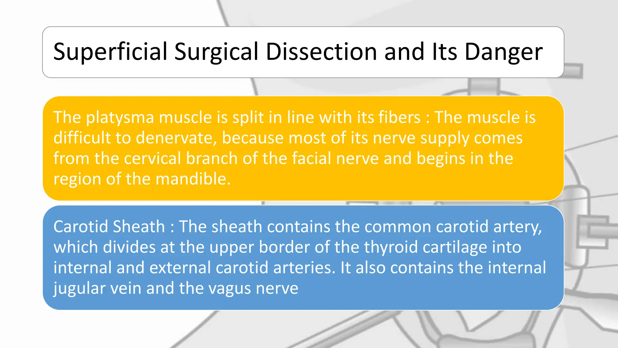 Anterior Cervical Fusion Approach Fusion.pptx
