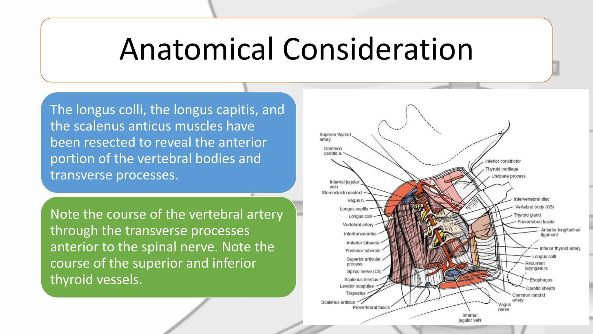 Anterior Cervical Fusion Approach Fusion.pptx