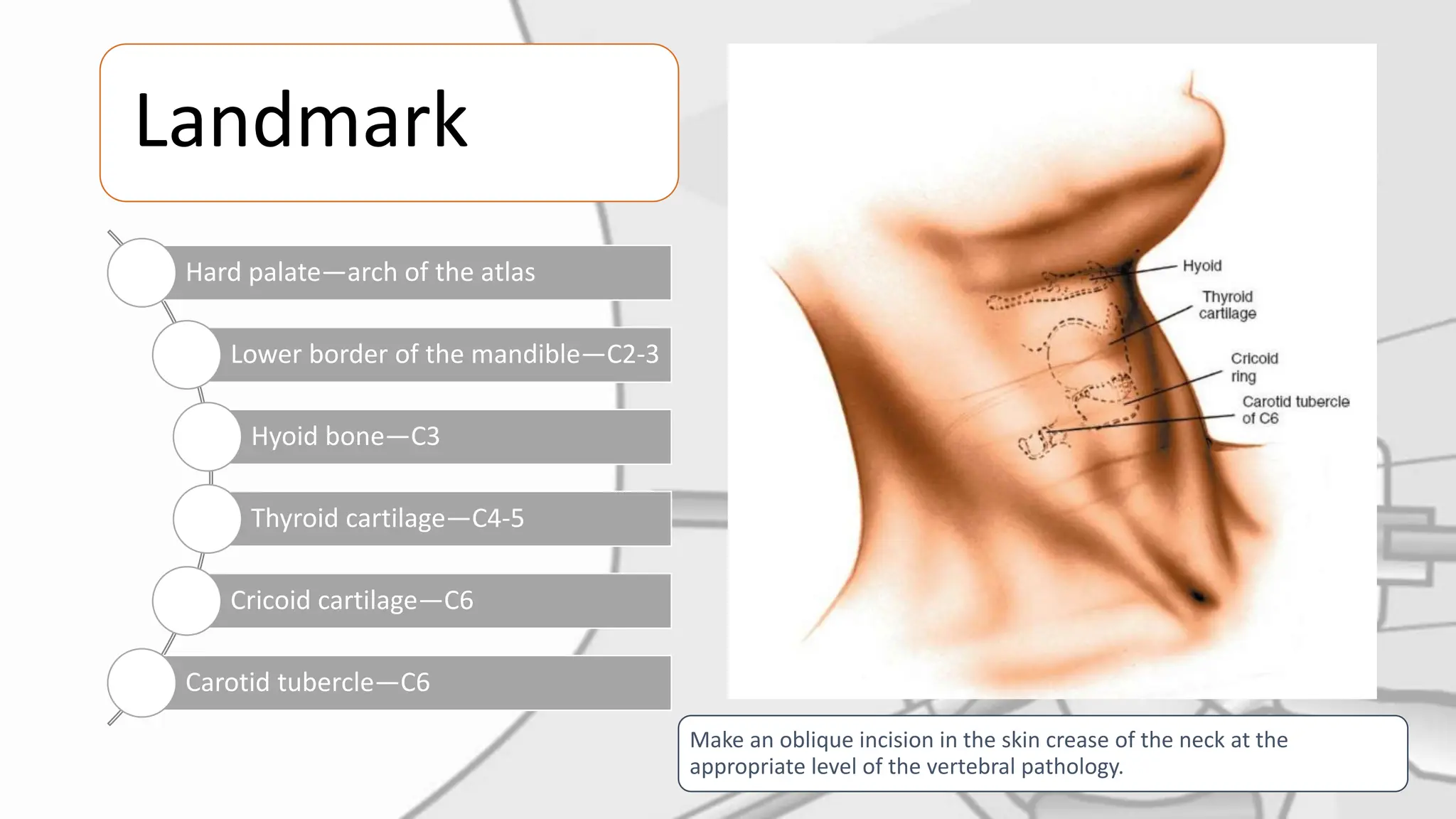 Anterior Cervical Fusion Approach Fusion.pptx