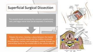 Anterior Cervical Fusion Approach Fusion.pptx