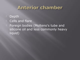 Anterior Chamber Cell
