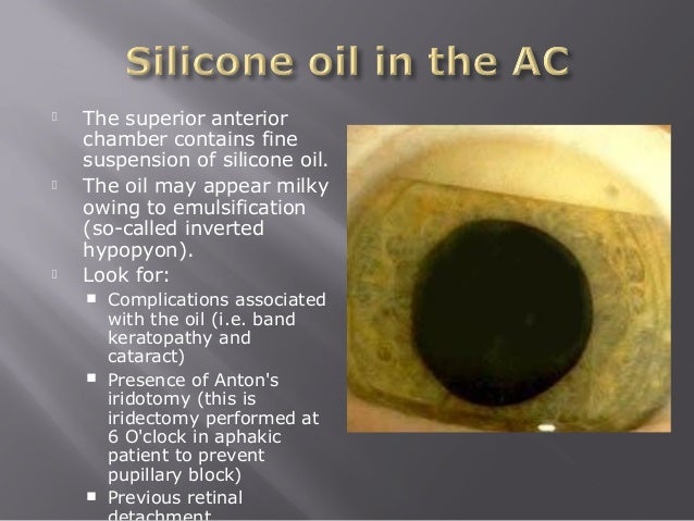 Common cases: Anterior Chamber and Iris