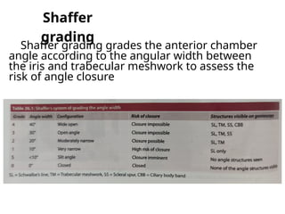 Anterior chamber 3.pptx anterior chamber | PPTX