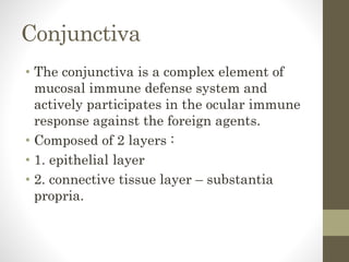 Anterior chamber associated immune deviation (acaid) | PPTX