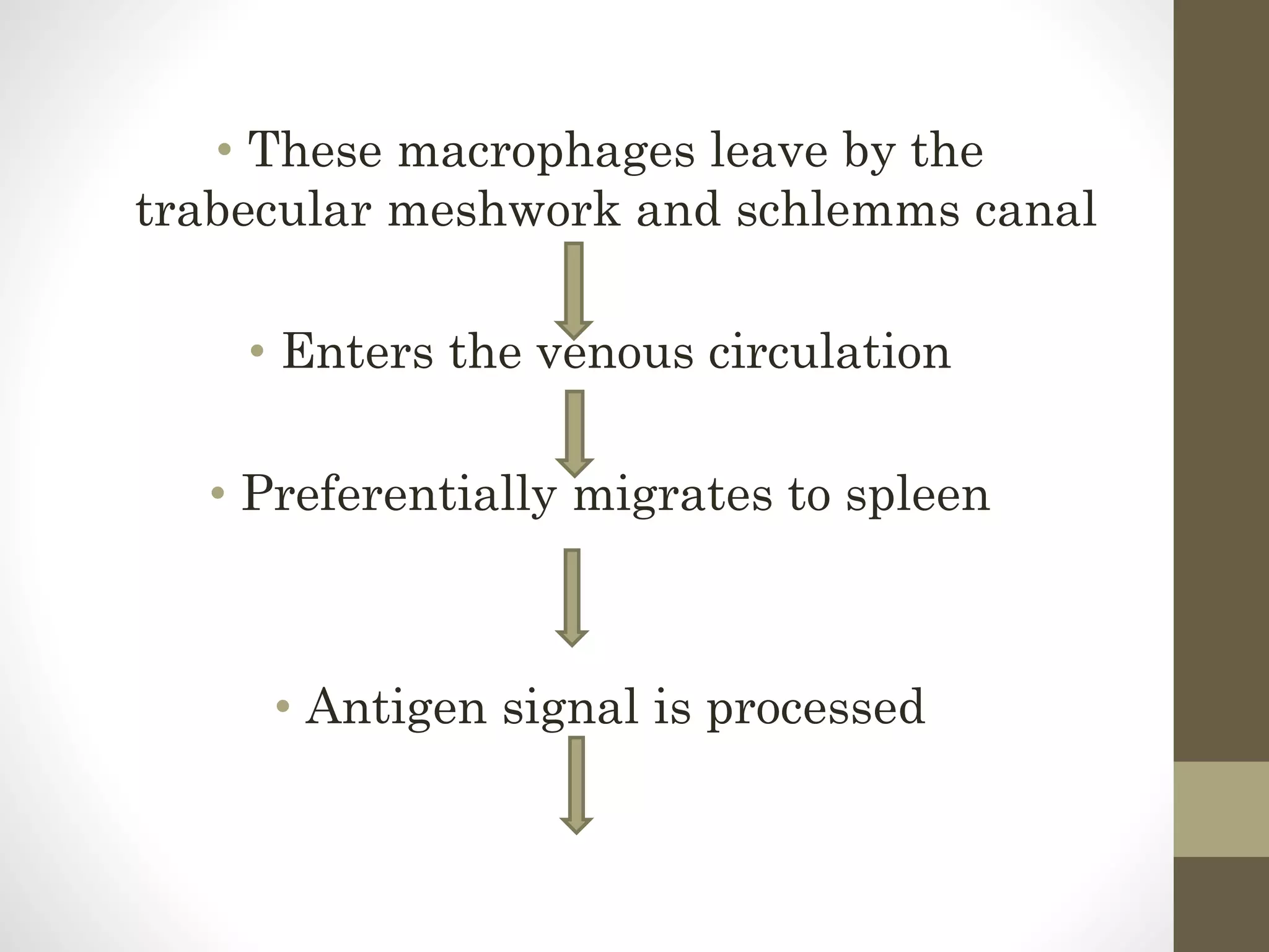 Anterior chamber associated immune deviation (acaid) | PPTX
