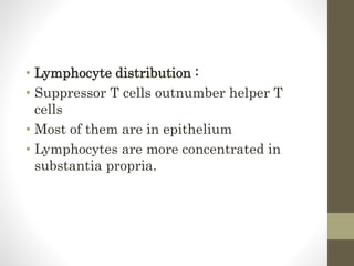 Anterior chamber associated immune deviation (acaid) | PPTX
