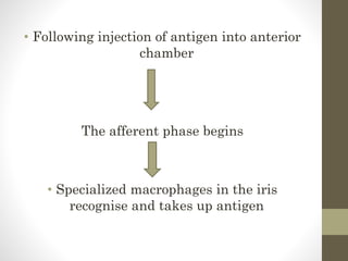 Anterior chamber associated immune deviation (acaid) | PPTX