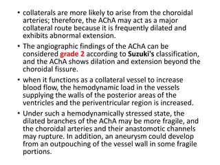 Anterior Choroidal Artery.pptx