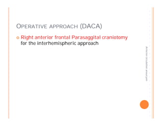 Anterior circulation aneurysms and surgical considerations 2011 | PDF