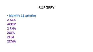 ANTERIOR COMMUNICATING ARTERY ANEURYSMS.pptx
