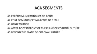 ANTERIOR COMMUNICATING ARTERY ANEURYSMS.pptx