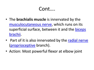 Anterior compartment of arm & cubital fossa | PPTX