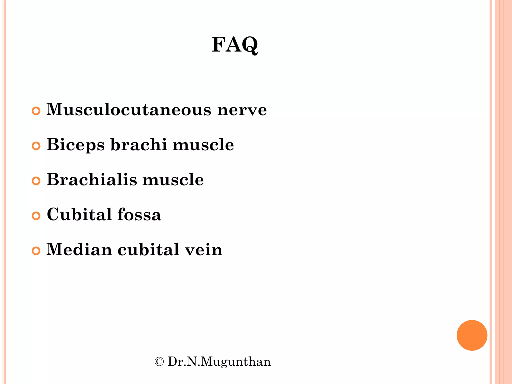 Anterior compartment of arm & cubital fossa Dr.N.Mugunthan | PDF