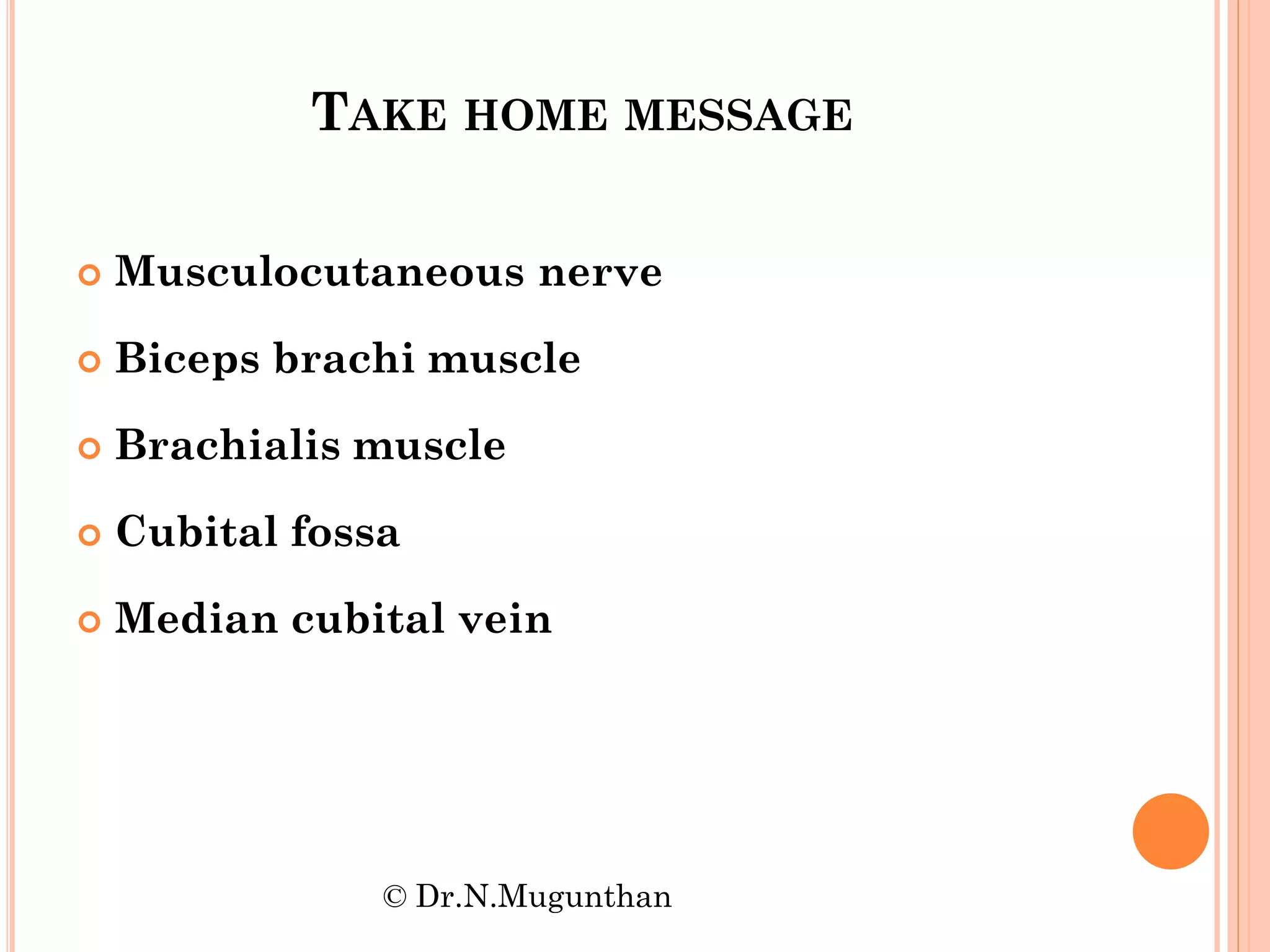 Anterior compartment of arm & cubital fossa Dr.N.Mugunthan | PDF