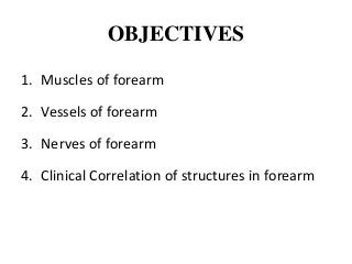 Anterior compartment of forearm.pptx