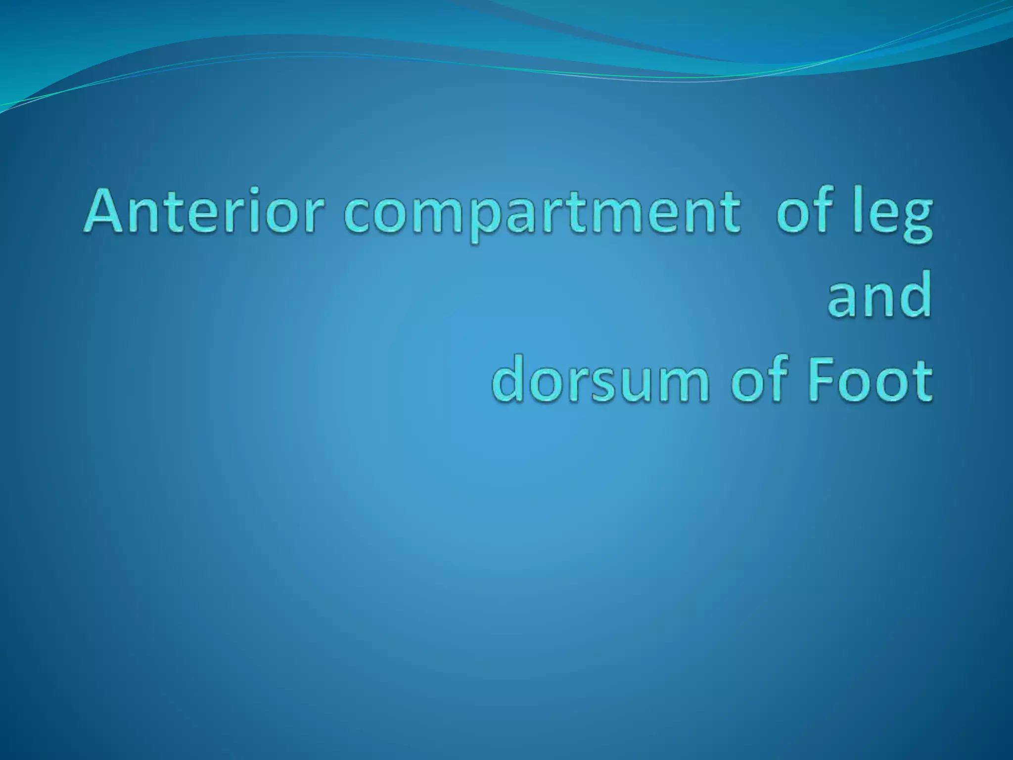 Anterior compartment of leg and Dorsum of foot | PPTX