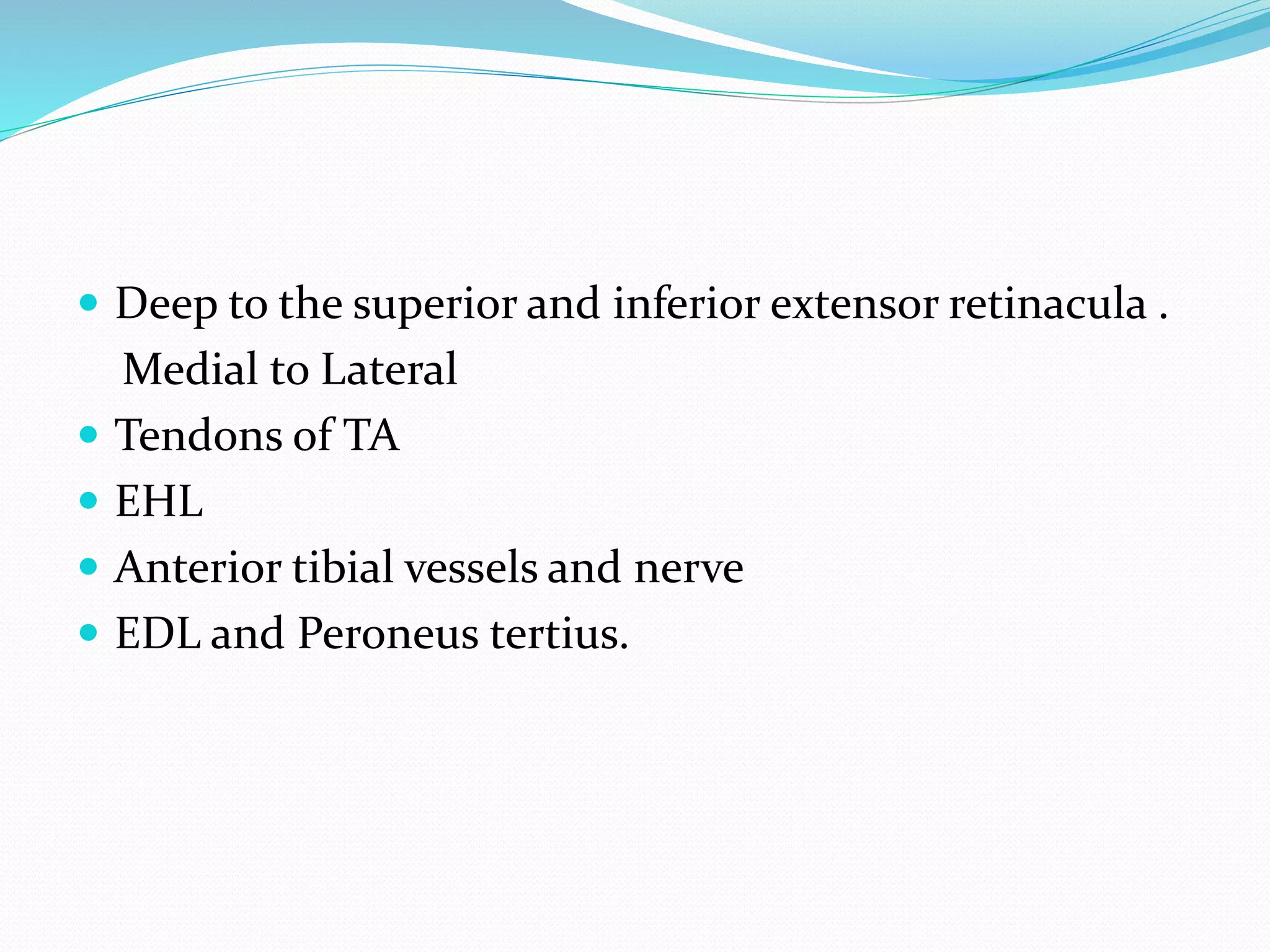 Anterior compartment of leg and Dorsum of foot | PPTX