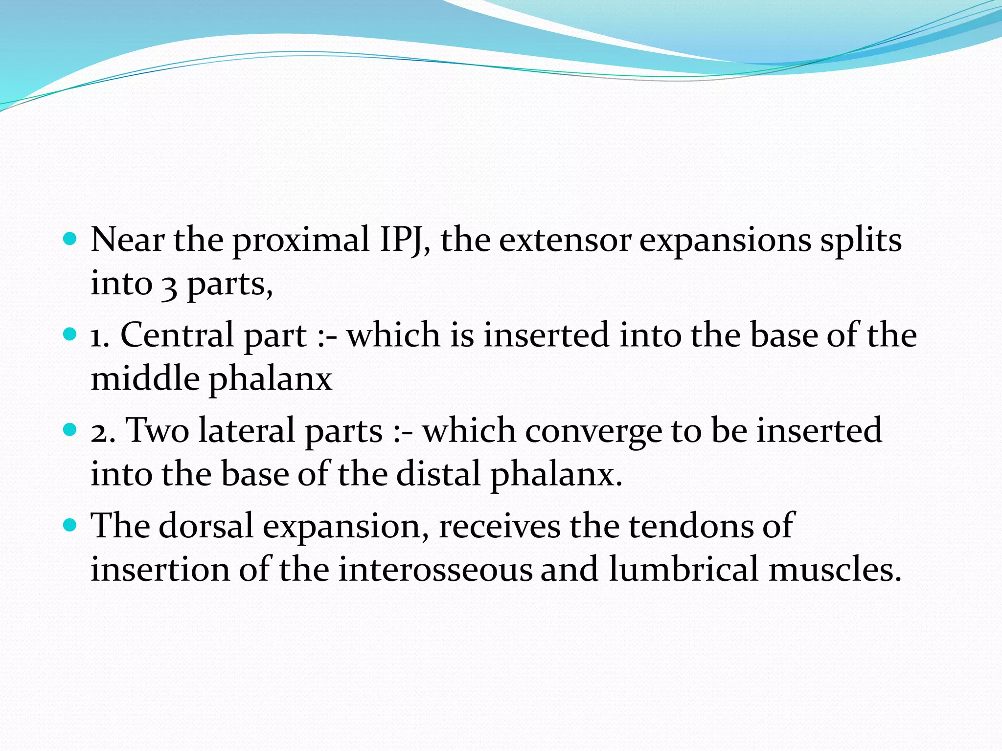 Anterior compartment of leg and Dorsum of foot | PPTX