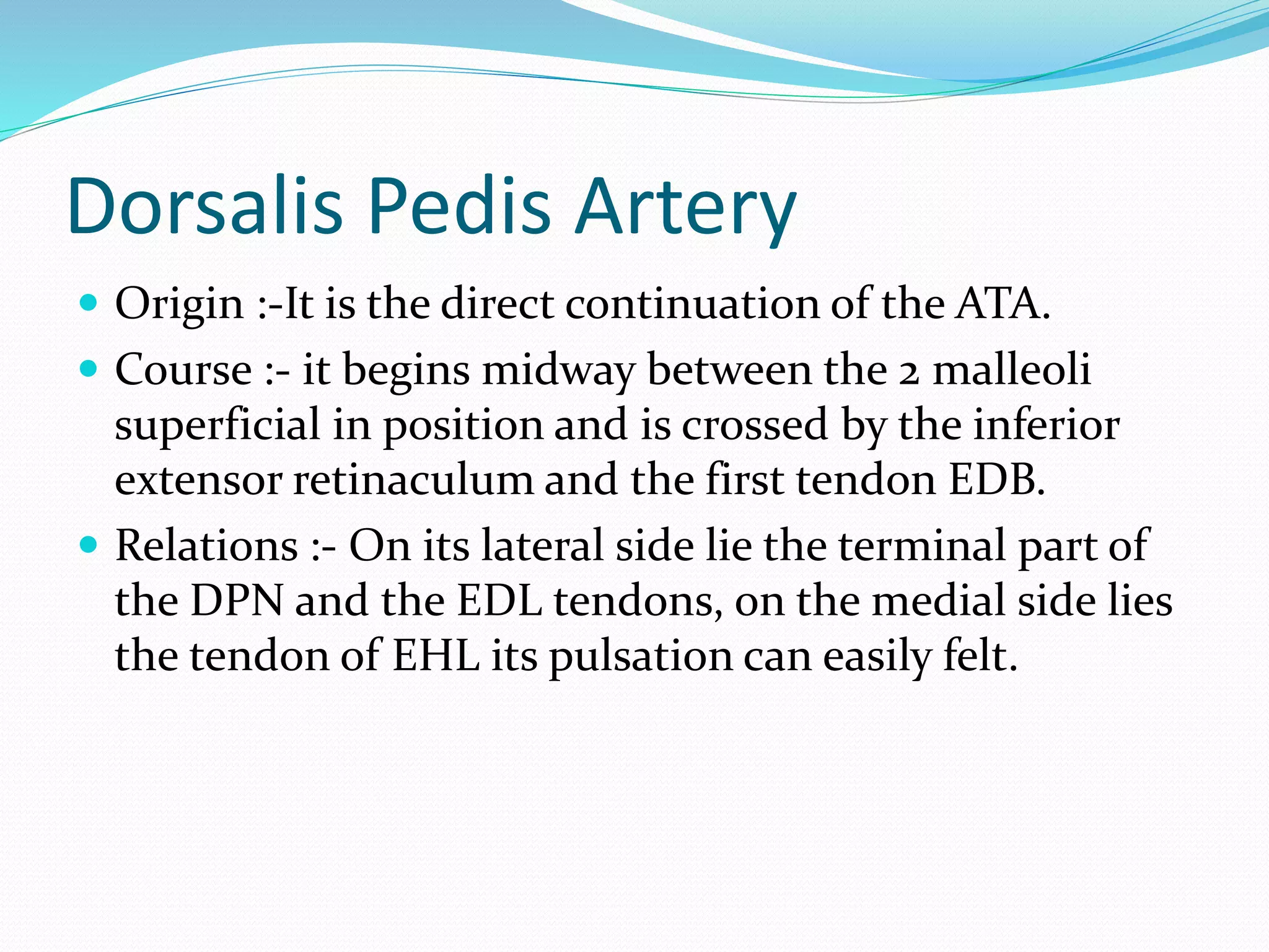 Anterior compartment of leg and Dorsum of foot | PPTX