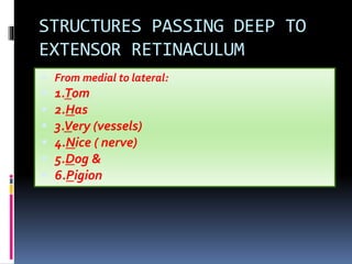 Anatomy of Anterior compartment of leg.pptx