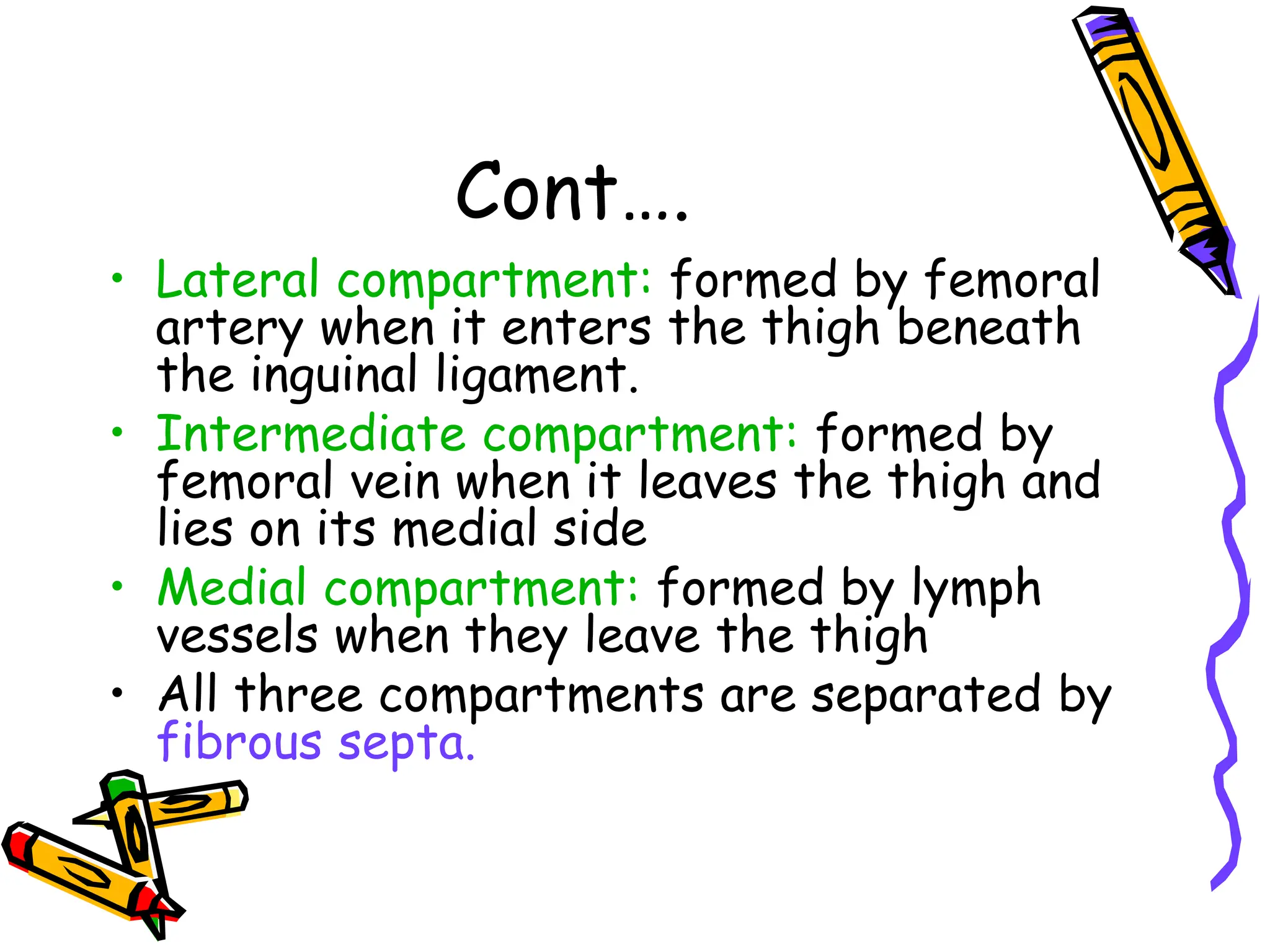 Anterior compartment of thigh.ppt