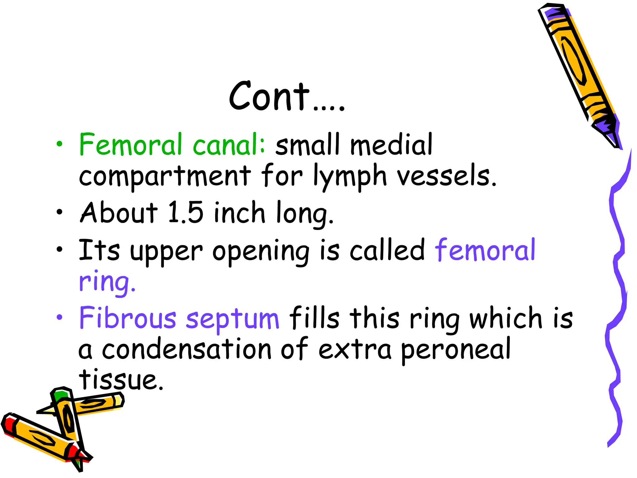 Anterior compartment of thigh.ppt